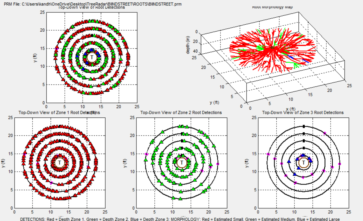 See your tree from the inside out.